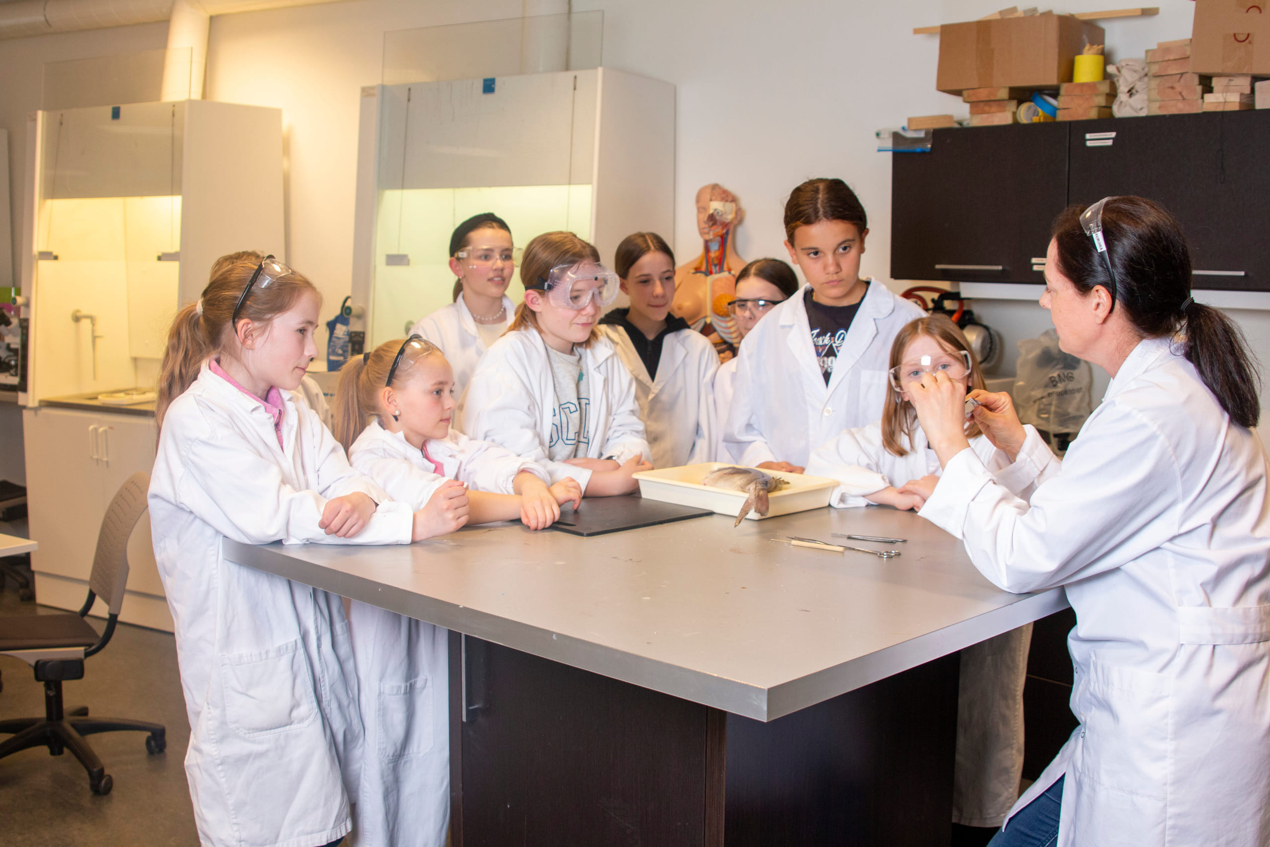 Skolekatalog | Akademiet Realfagsungdomsskole Ålesund