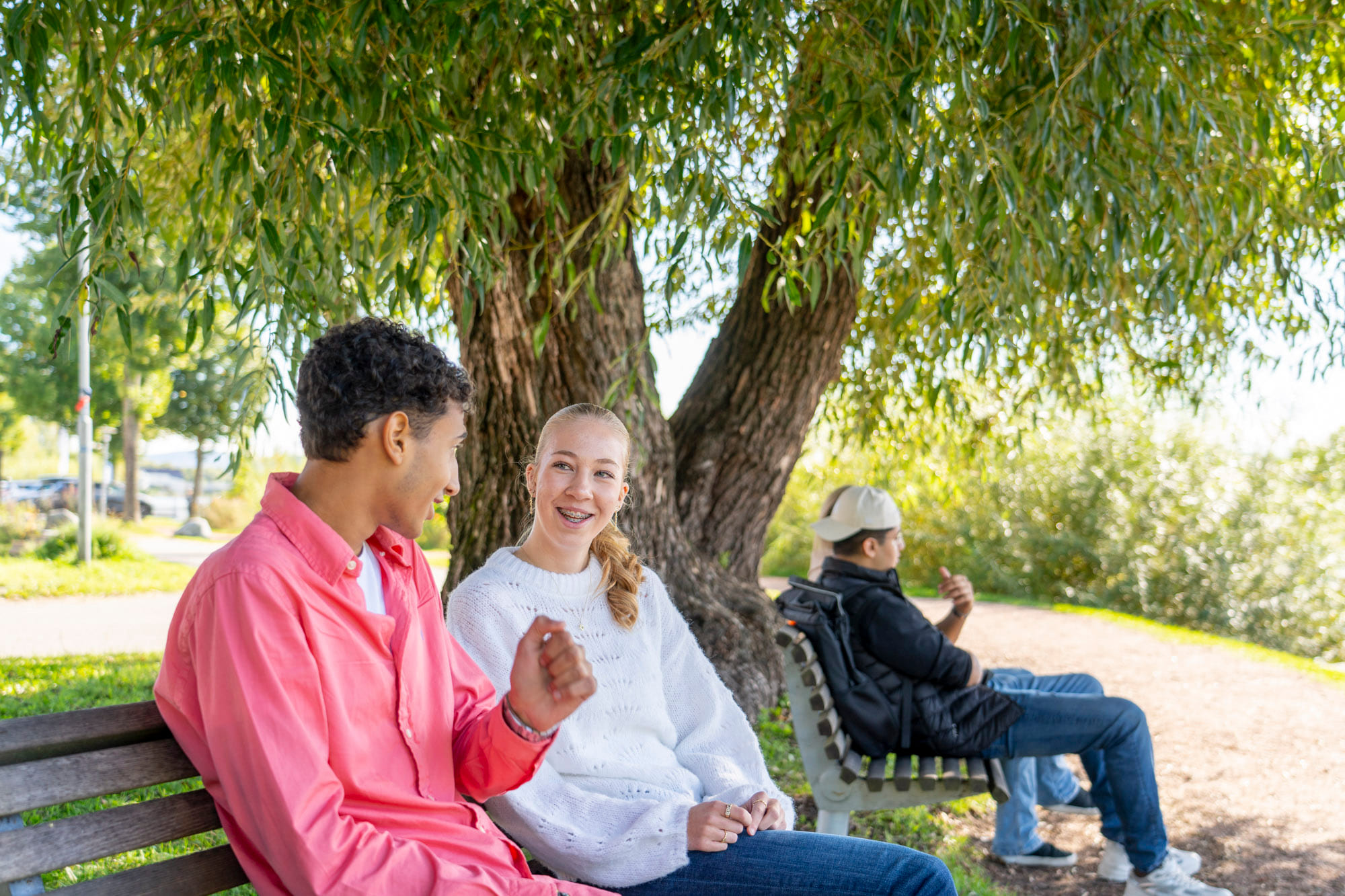 Akademiet VGS Ypsilon | Videregående skole | Akademiet.no