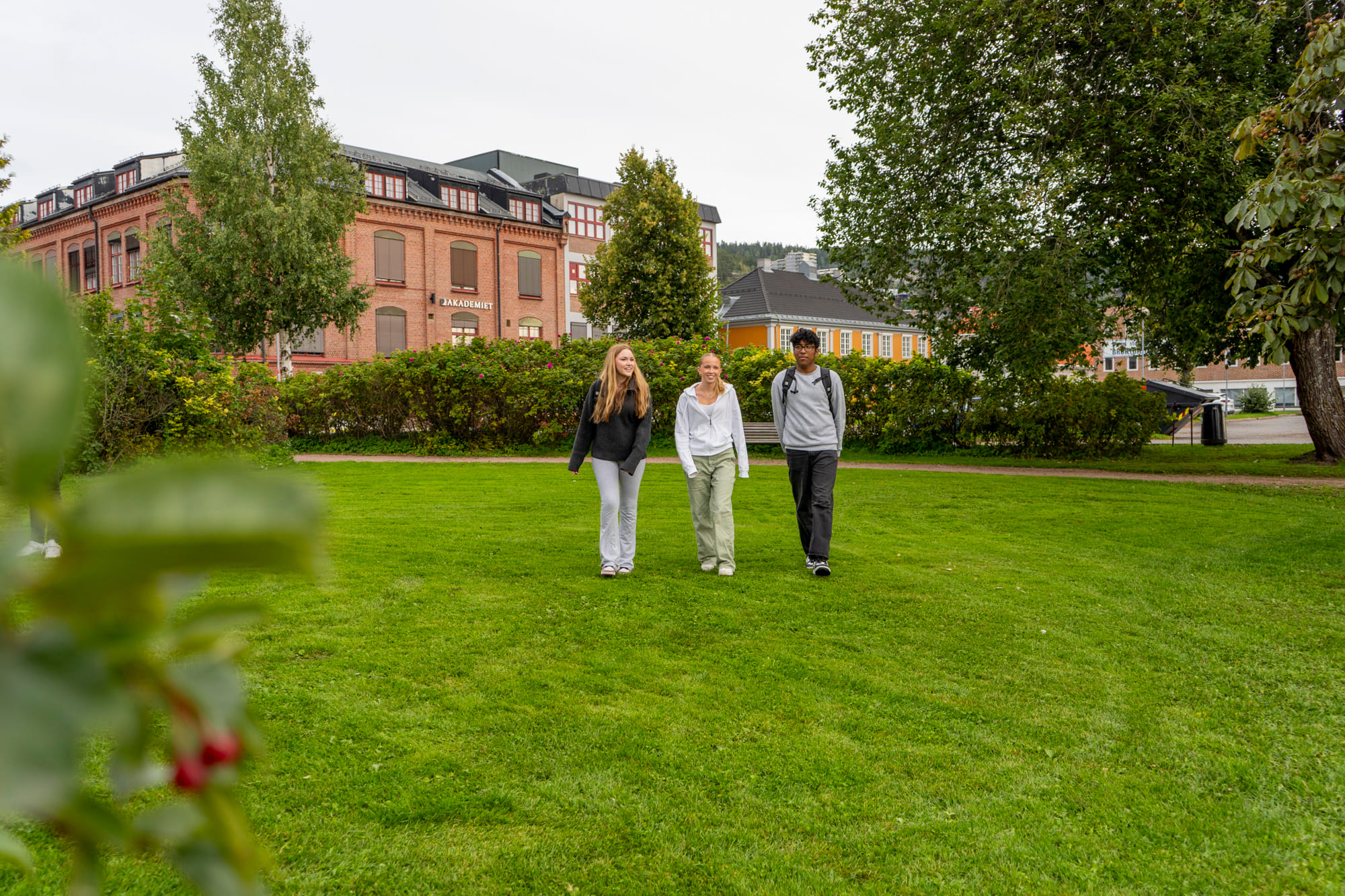 Informasjonsmøter i Drammen | Akademiet.no