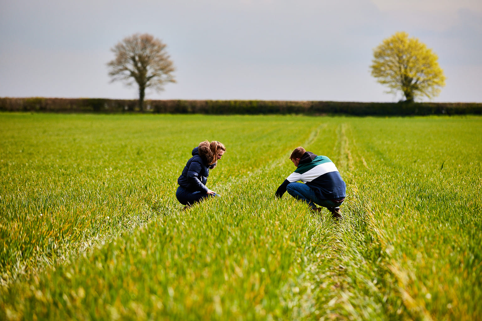 Askham Bryan | England | Akademiet Utveksling | Akademiet.no